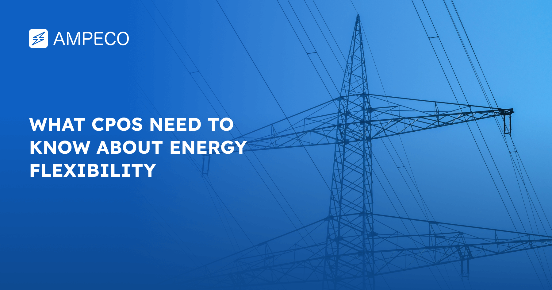 Energy Flexibility Explained: What CPOs Need to Know About the Grid ...